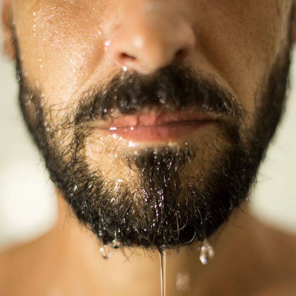 Barzda ir ūsai – Coscury